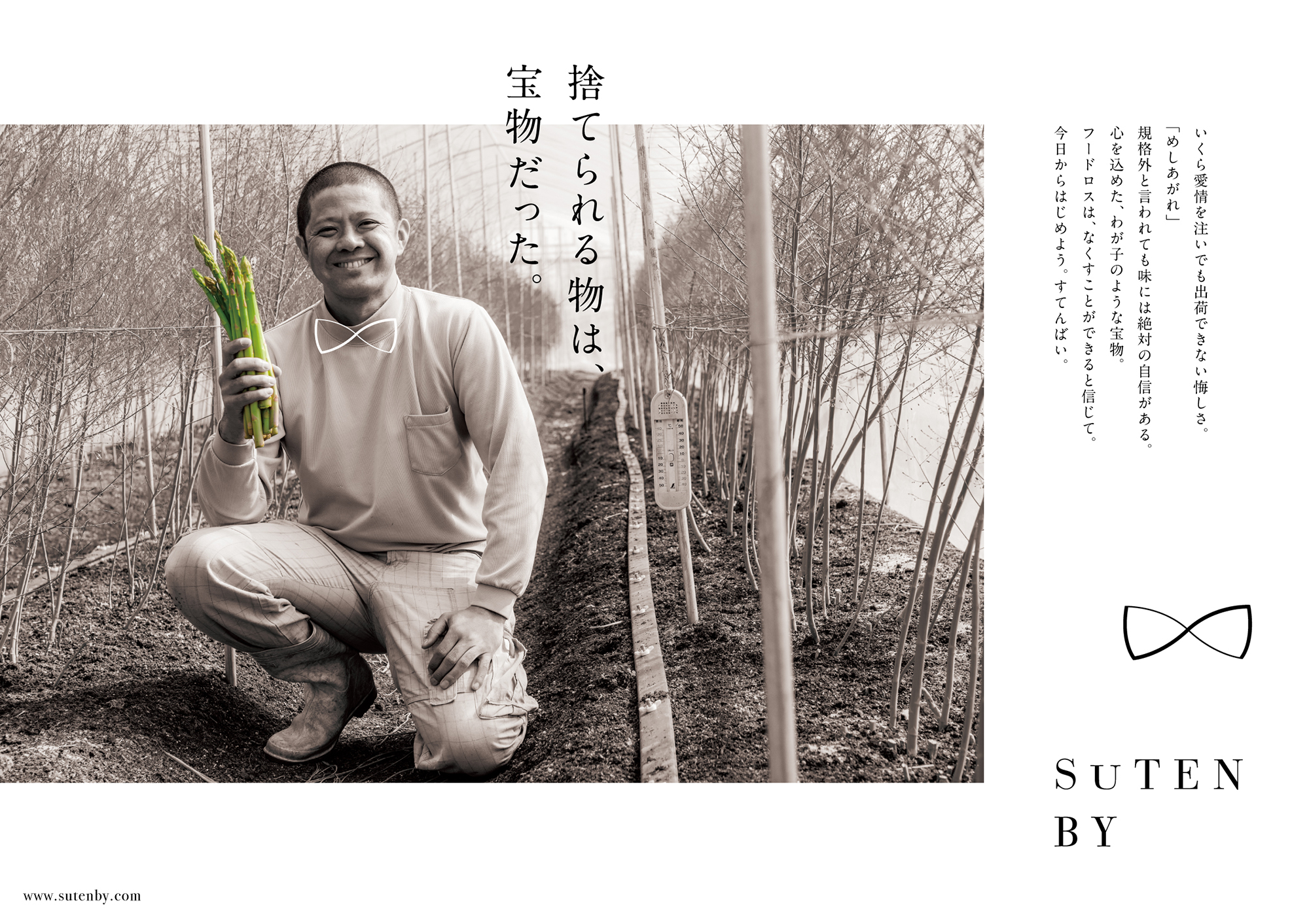 SUTEN BY | あおいろデザインのお仕事